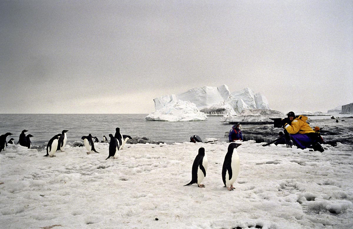 The Last Ocean » CIFF