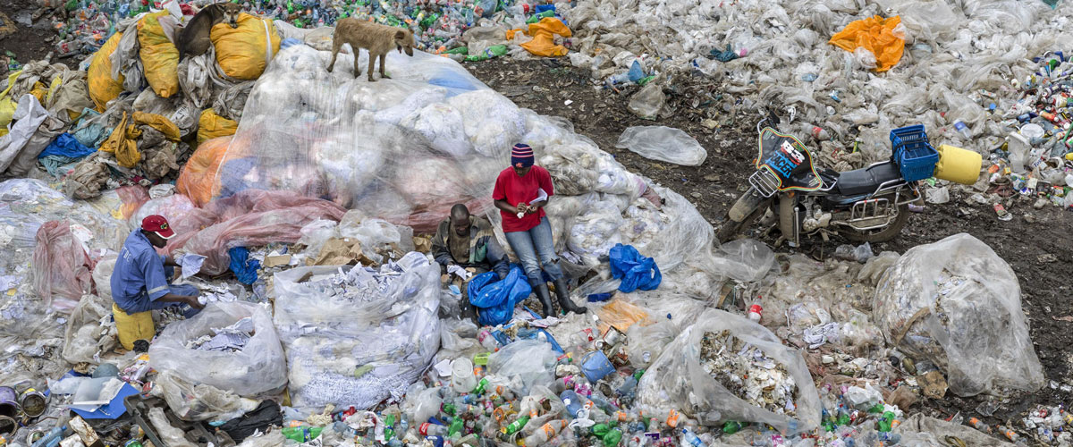 Anthropocene: THE HUMAN EPOCH » CIFF