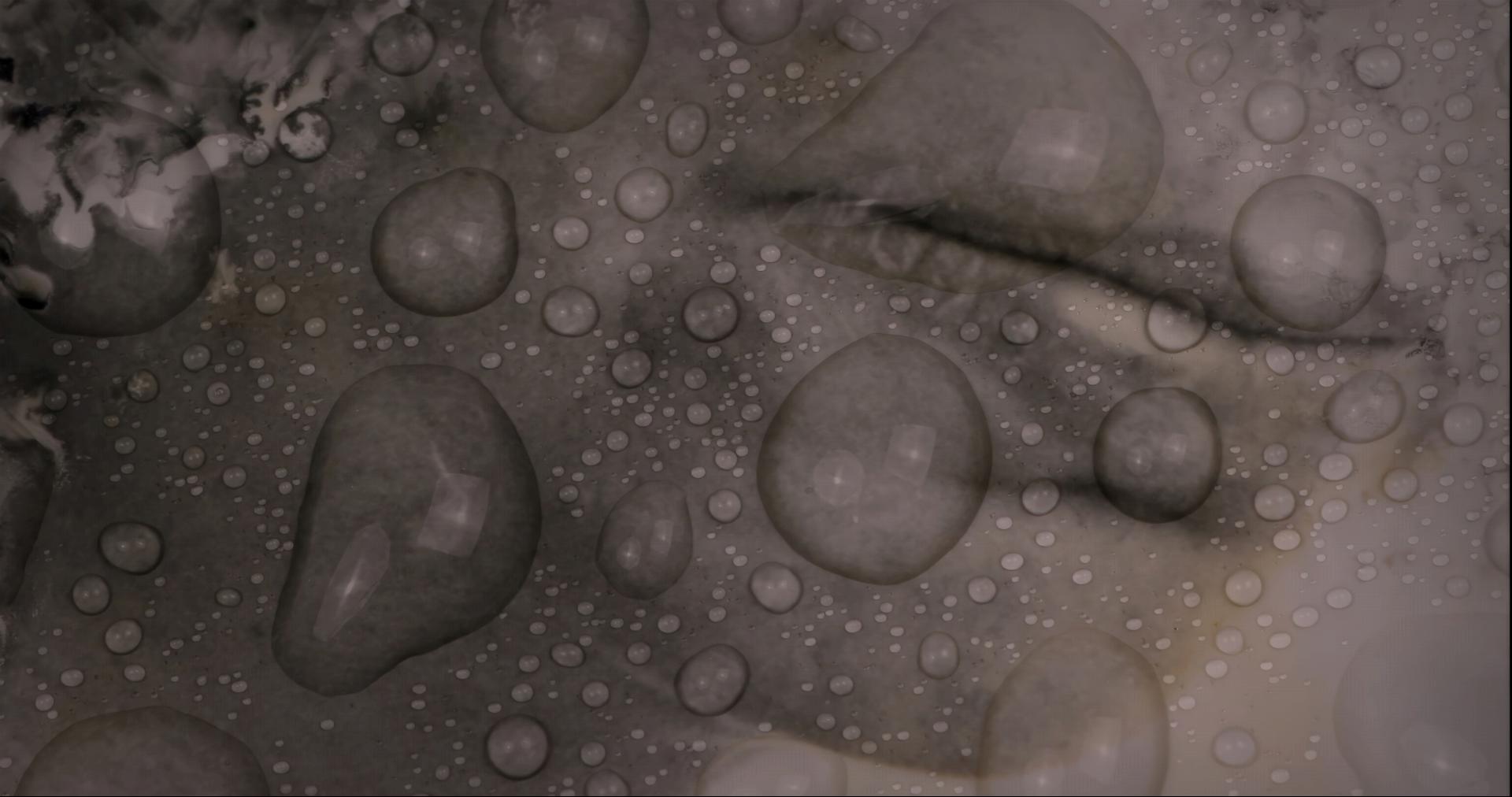 ENTROPIC MEMORY » CIFF