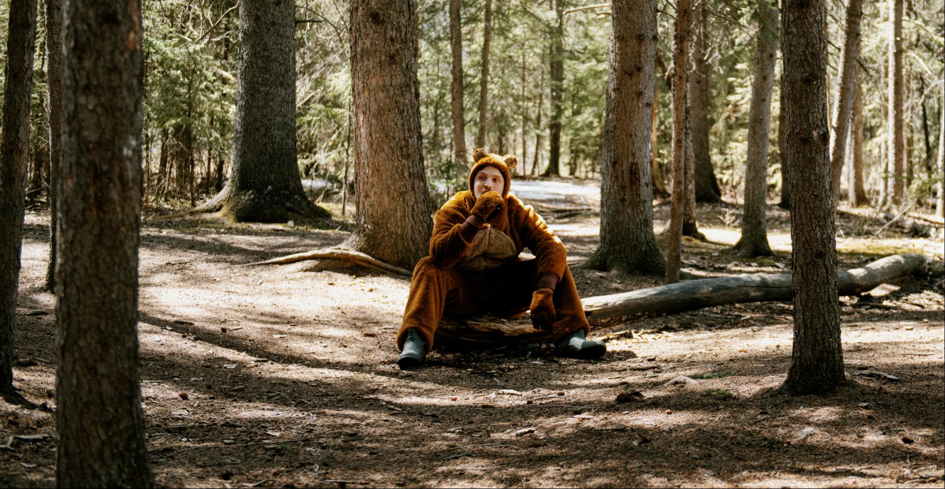 NOW, I AM A BEAR » CIFF